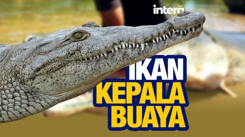 Laman Utama - NEXTSTEP MALAYSIA