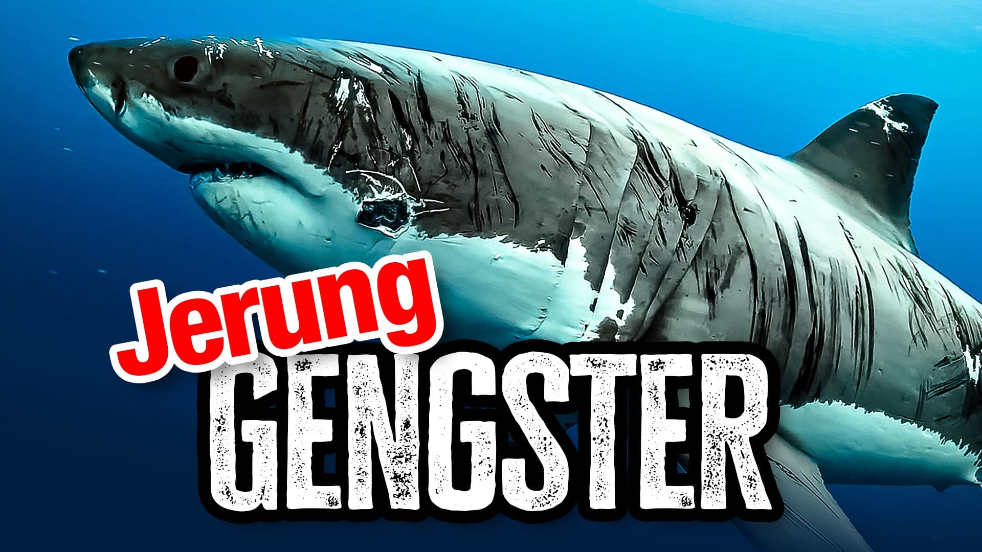 Jerung Parut Pendekar Laut