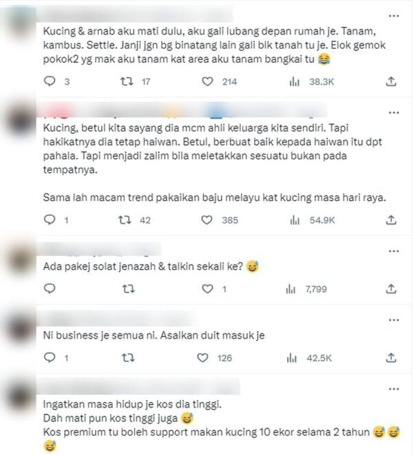 Pakej semadi kucing siap kafan dan baca talkin, penyedia servis dikecam ...