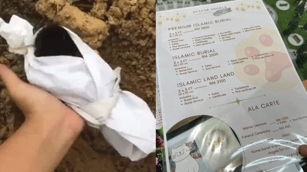 Pakej semadi kucing siap kafan dan baca talkin, penyedia servis dikecam ...