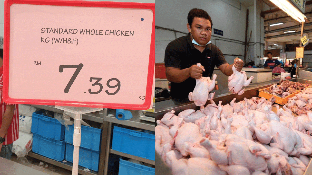 Terkejut tengok harga ayam turun lagi