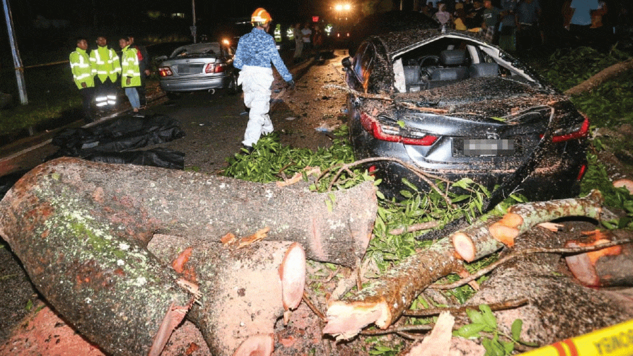 Tiga beranak maut dihempap pokok, rupanya arwah asyik buat kerja ini ...