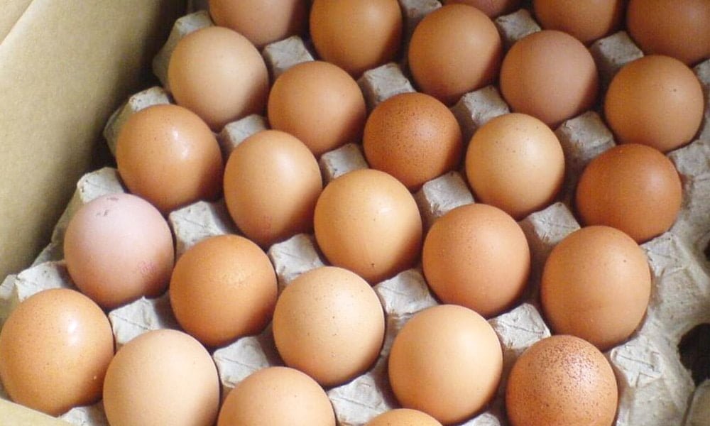 Pintu peti sejuk bukan tempat sesuai simpan telur walaupun tersedia ...