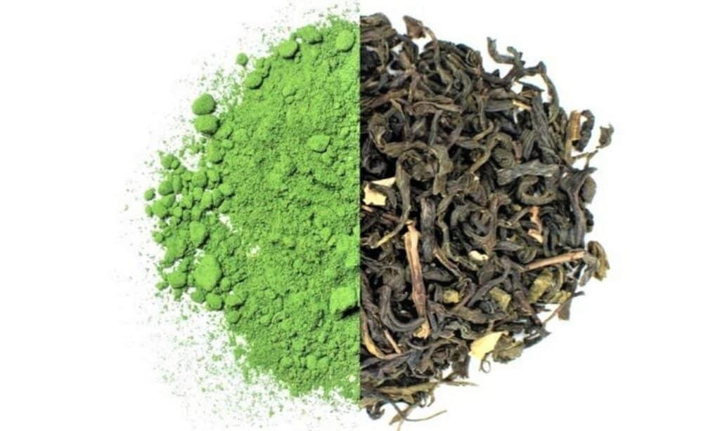 Ingatkan sama, rupanya ada beza antara 'matcha' dengan 'green tea ...